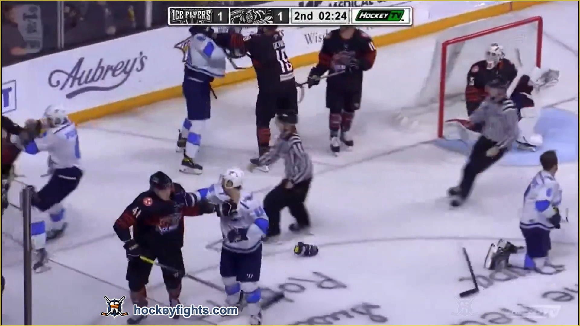 Jay Powell vs. Sacha Roy, November 26, 2022 - Pensacola Ice Flyers vs ...